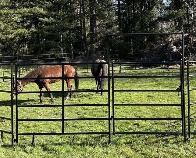 Top Horse Round Pens for Sale | Rumbling Mountain